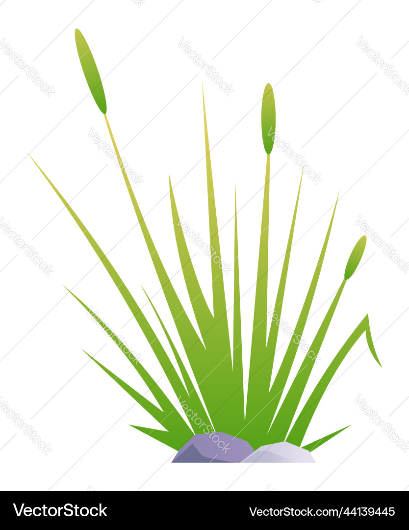 Wild marsh plant - modern flat design style single