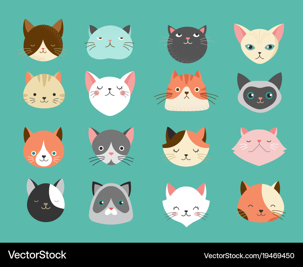 Collection of cats Royalty Free Vector Image - VectorStock