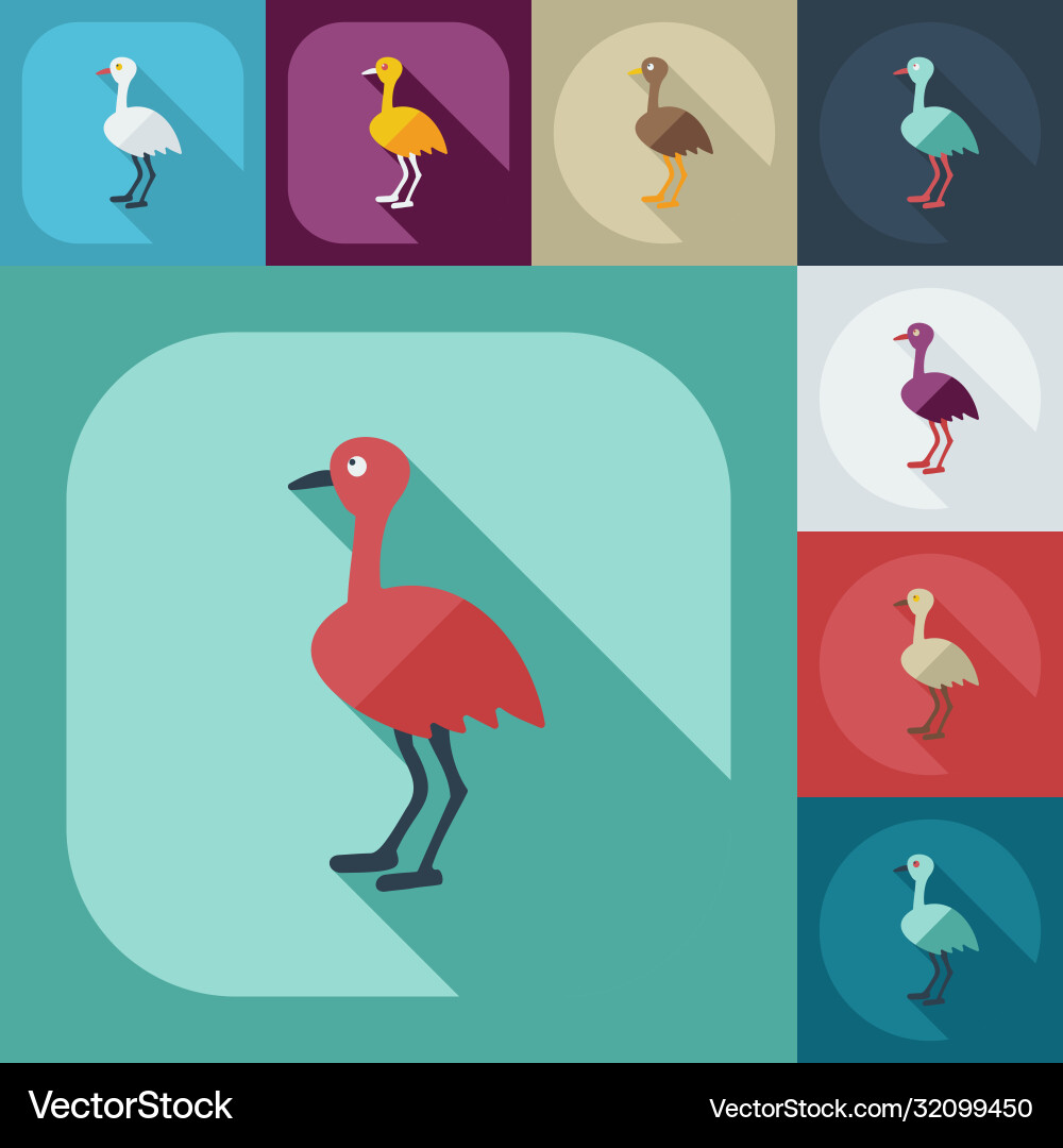 Flat modern design with shadow icons ostrich Vector Image