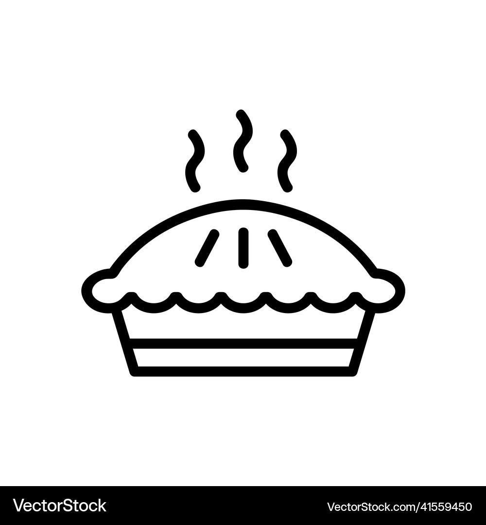 Thin line pie icon isolated on a white background Vector Image