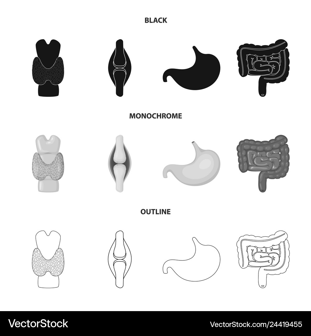 Biology and scientific sign Royalty Free Vector Image