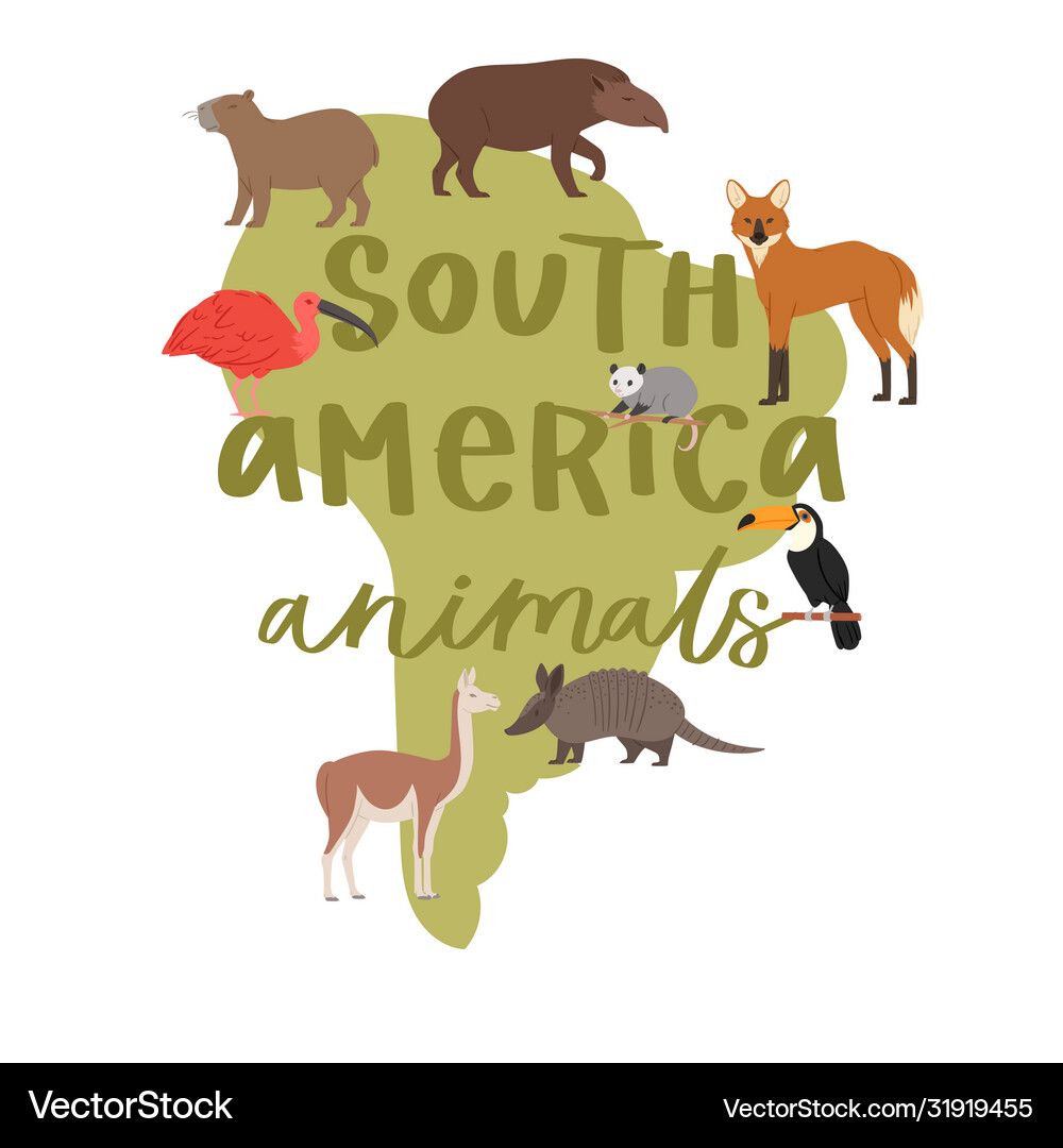 South America Animals Map Royalty Free Vector Image