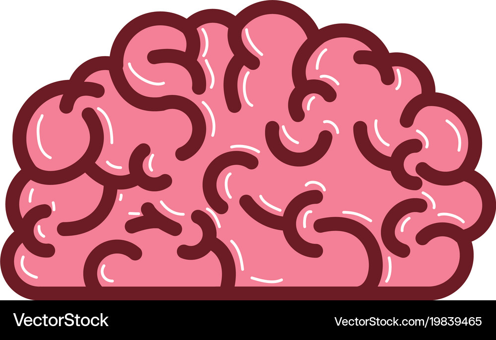 Brain side view in colorful silhouette with thick Vector Image