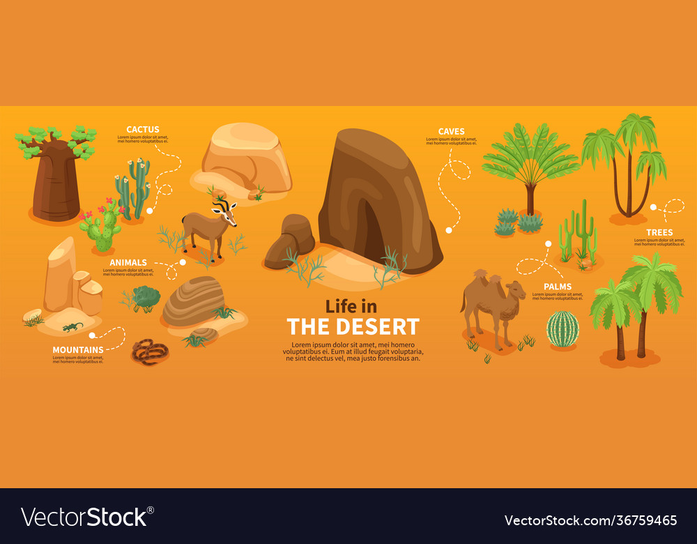 Desert isometric infographics Royalty Free Vector Image Desert isometric infographics Royalty Free Vector Image