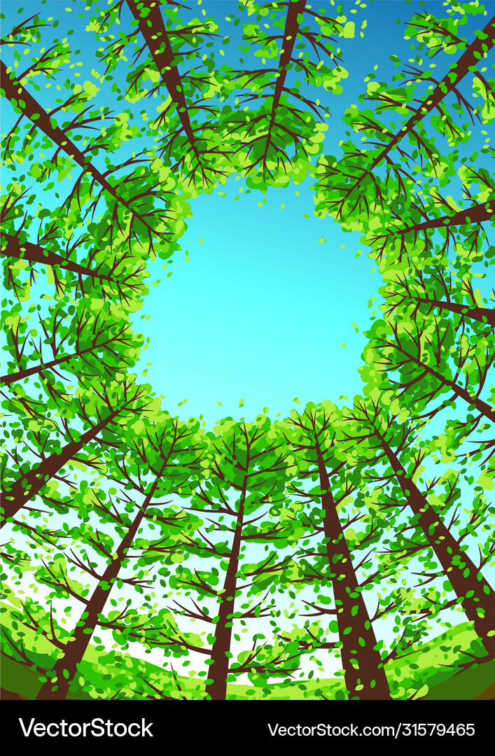 Summer forest background with stylized trees Vector Image