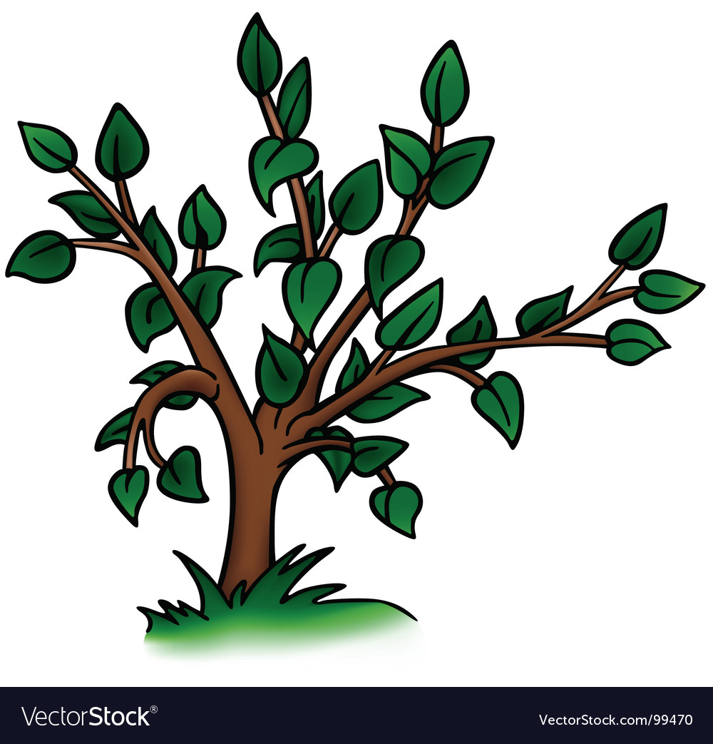 Small deciduous tree Royalty Free Vector Image