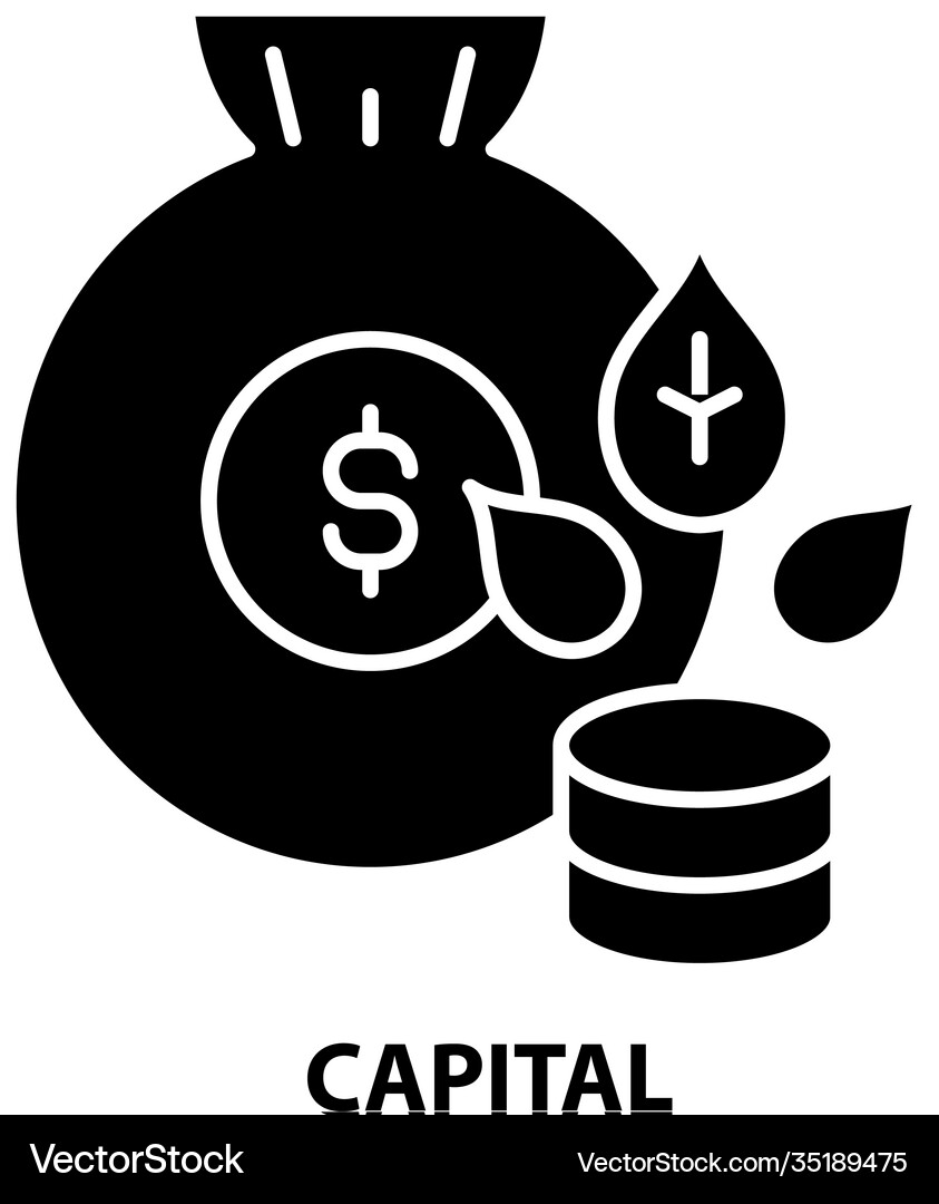 Capital icon black sign with editable Royalty Free Vector
