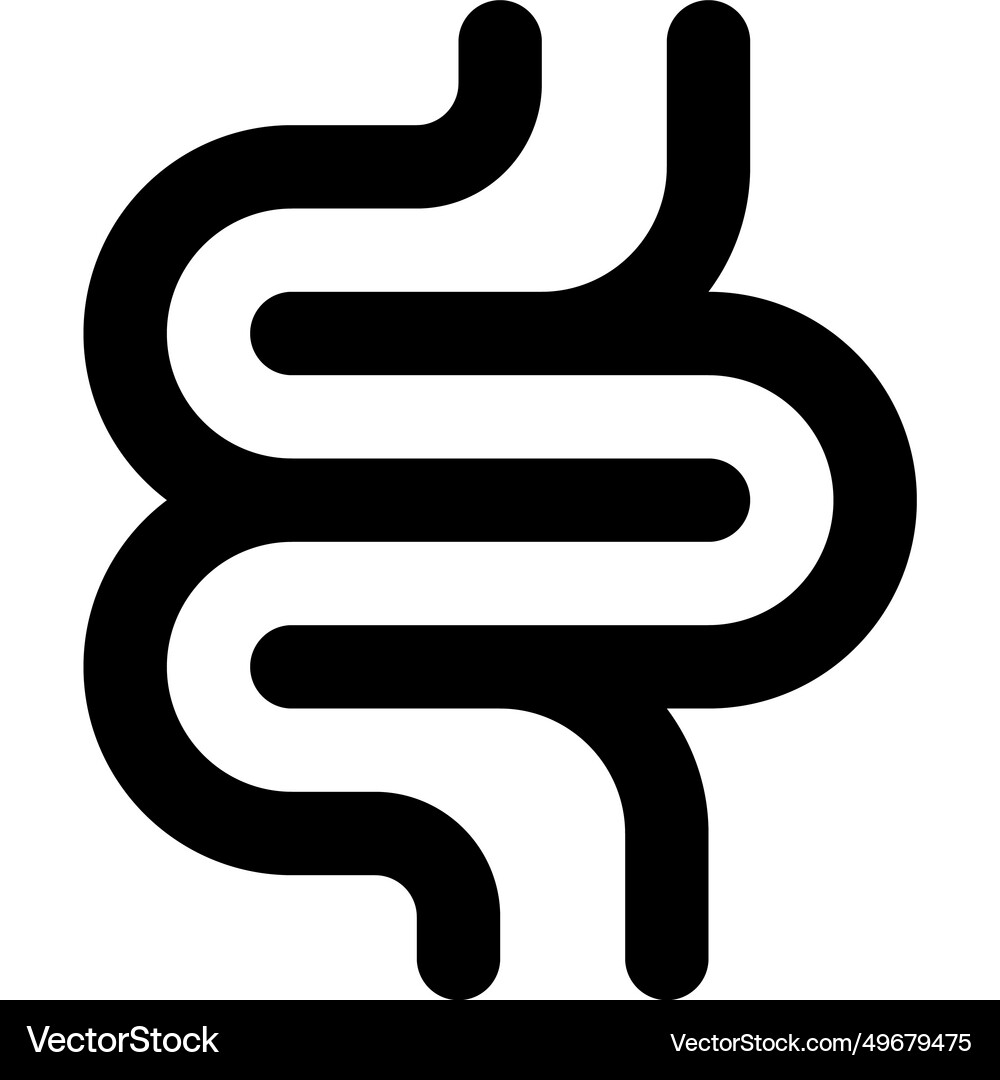 Colon is also called the large intestine Vector Image