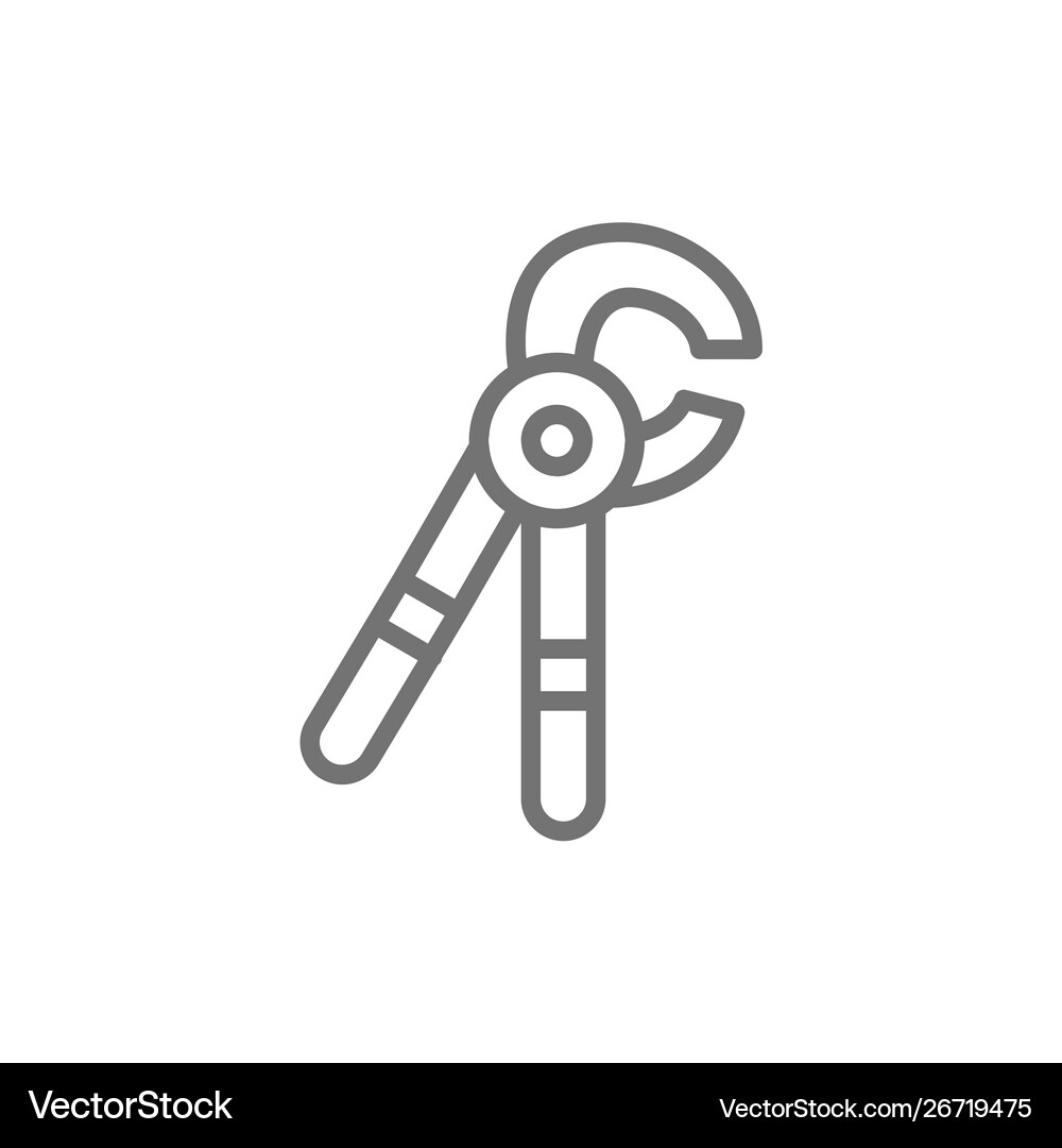 Tooth extraction tool dental surgery instruments Vector Image