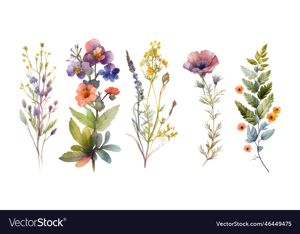 Watercolor botanical set collection Royalty Free Vector