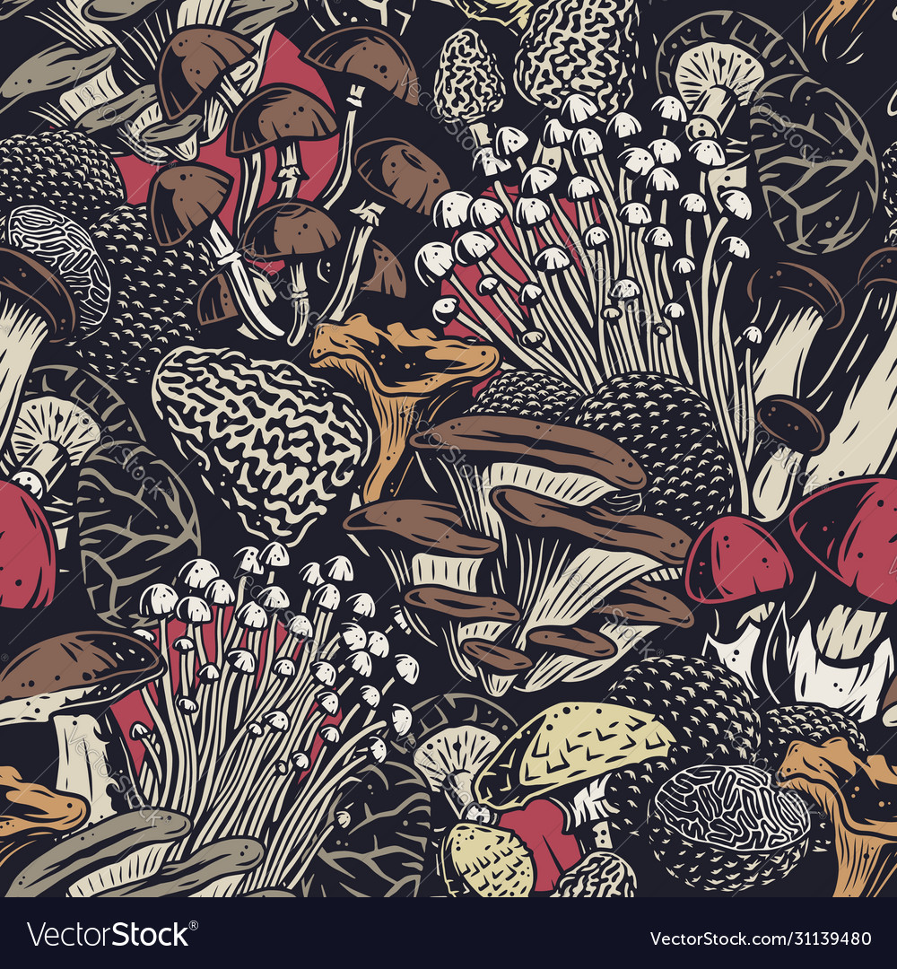 Autumn forest mushroom set and seamless pattern Vector Image