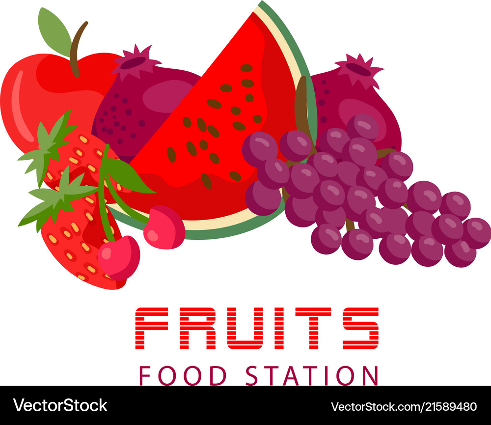 Fruits food station fresh fruit background Vector Image