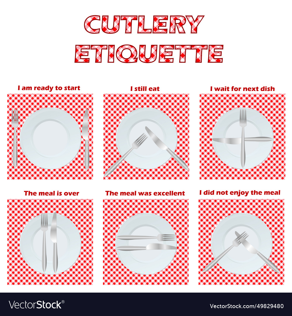 Language of the cutlery for eating dining Vector Image