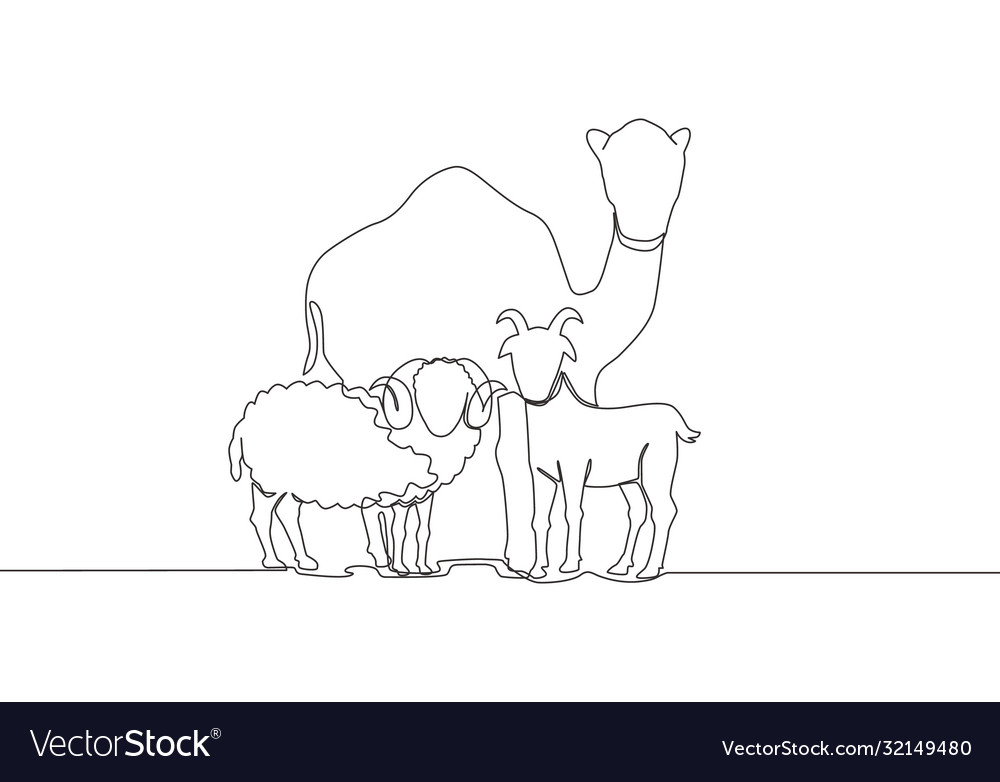 One Continuous Line Drawing Sheep Camel Royalty Free Vector