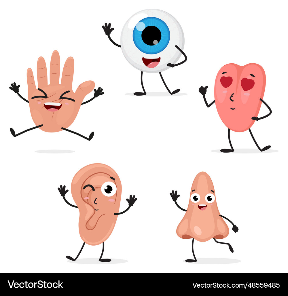 Cute five human senses organs cartoon character Vector Image