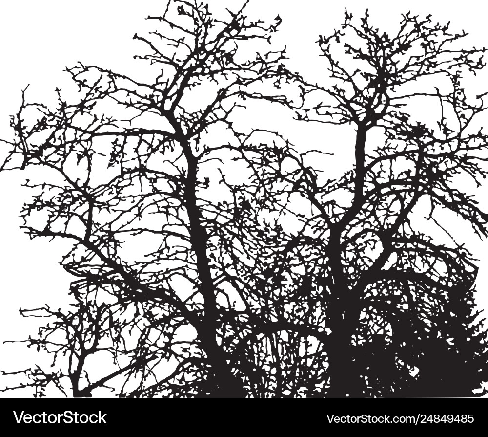 Trees background Royalty Free Vector Image - VectorStock