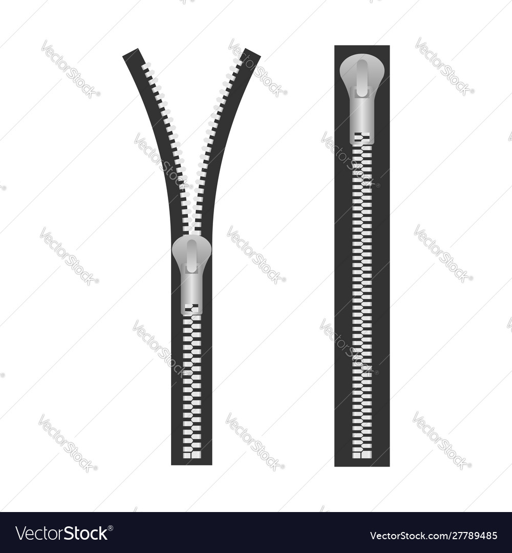 Zippers type set fastener metallic closed Vector Image Zippers type set fastener metallic closed Vector Image