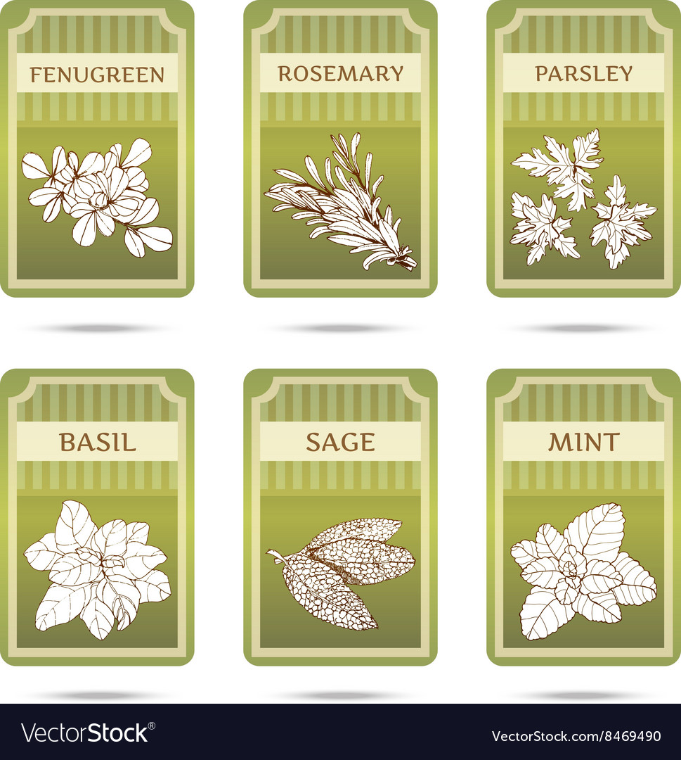 Collection herbs labels Royalty Free Vector Image Collection herbs labels Royalty Free Vector Image