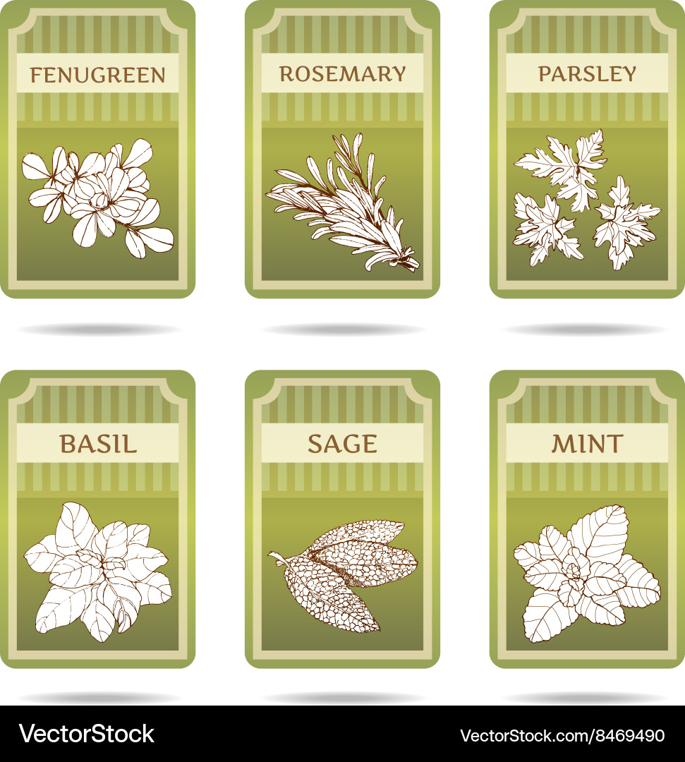 Collection of herbs labels Royalty Free Vector Image