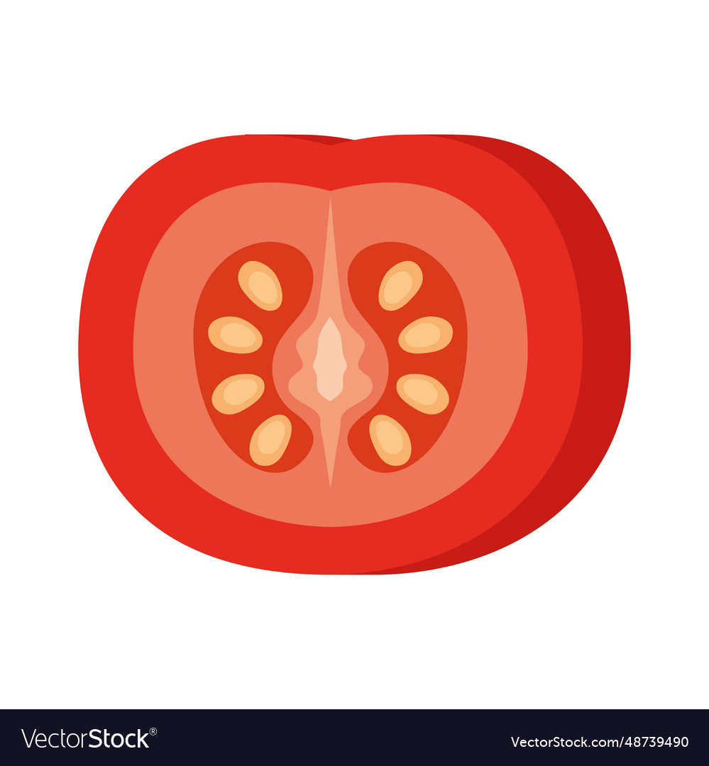 Tomato slice Royalty Free Vector Image - VectorStock