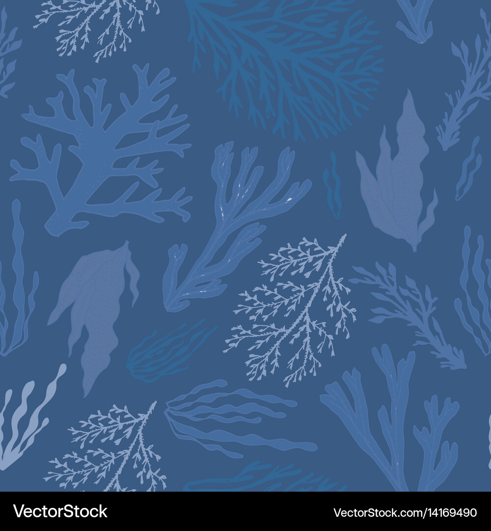 Trendy summer seaweed design Royalty Free Vector Image