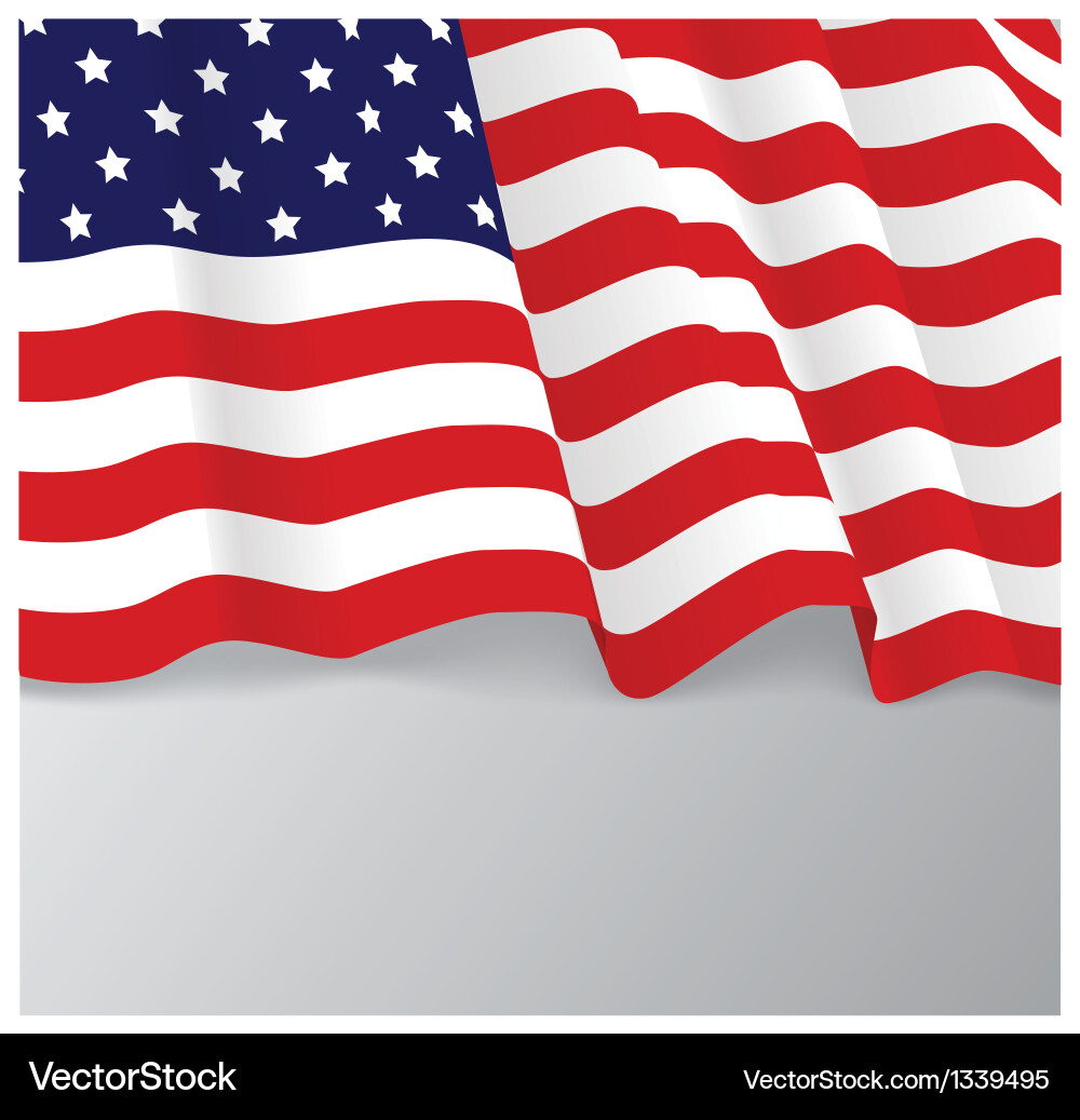 American flag patriotic Royalty Free Vector Image