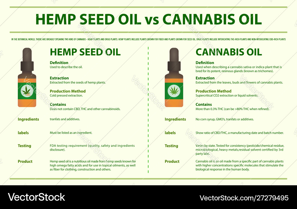 Hemp seed oil vs cannabis horizontal Royalty Free Vector