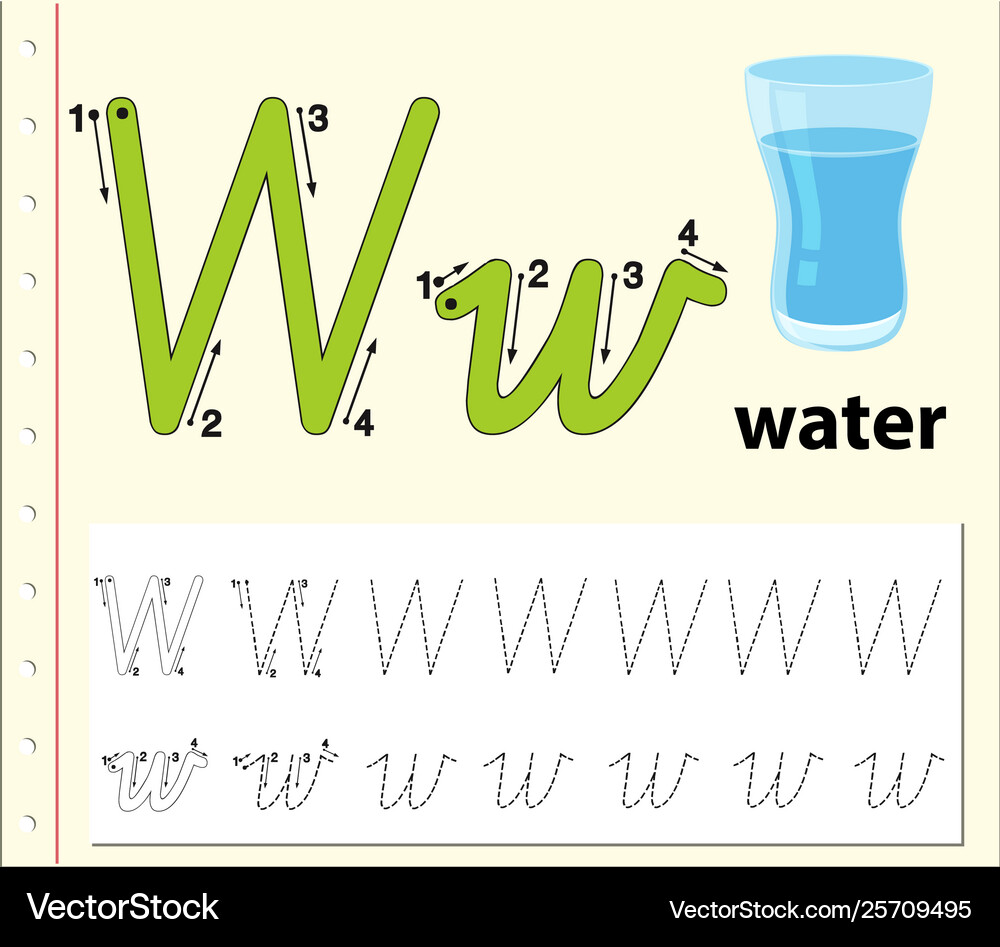 Letter w tracing alphabet worksheets Royalty Free Vector