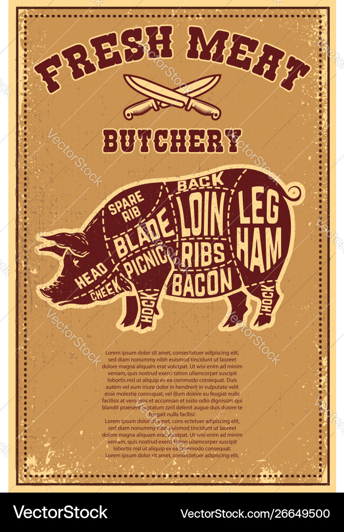 Fresh meat poster template with meat cut Vector Image