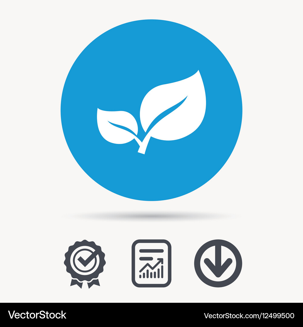 Leaf icon fresh organic product sign Royalty Free Vector