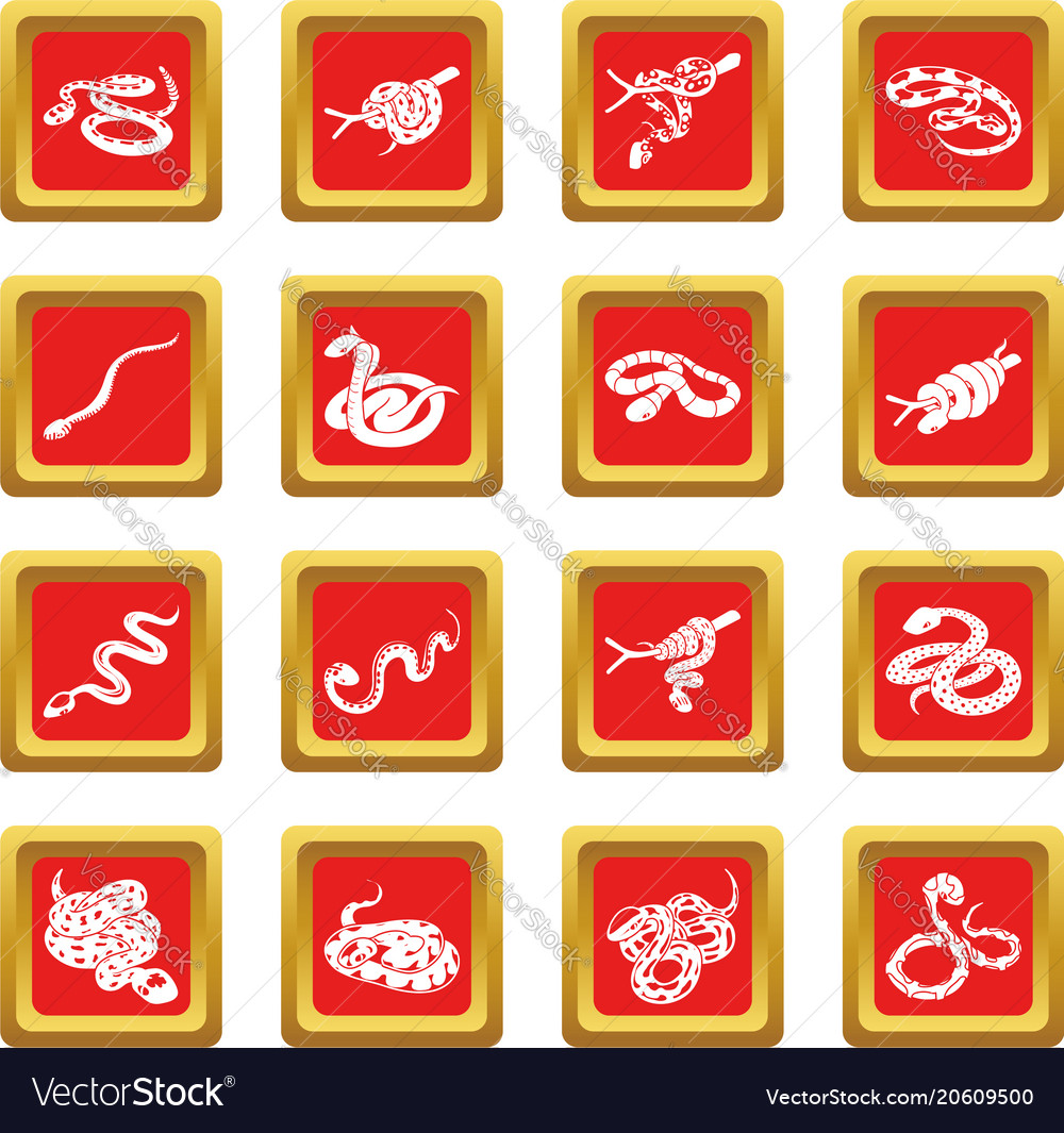 Snake icons set red square Royalty Free Vector Image