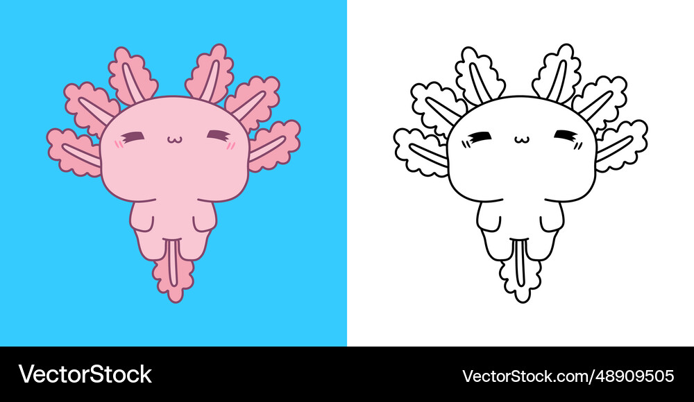 Cute isolatedaxolotl clipart Royalty Free Vector Image