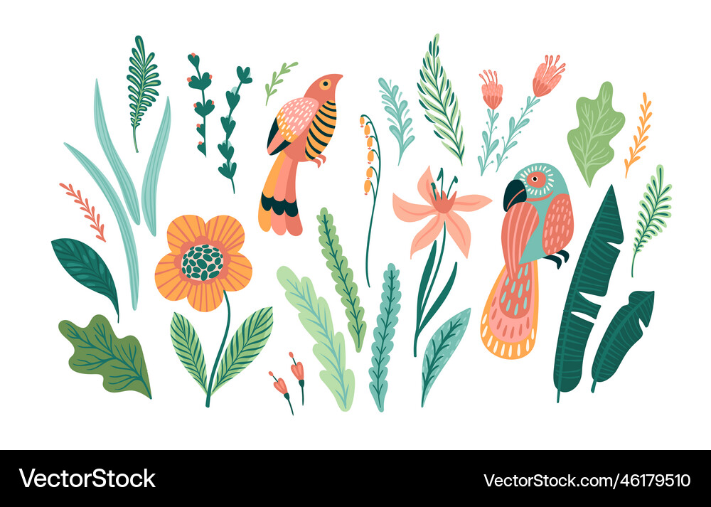 Isolated of birds Royalty Free Vector Image - VectorStock