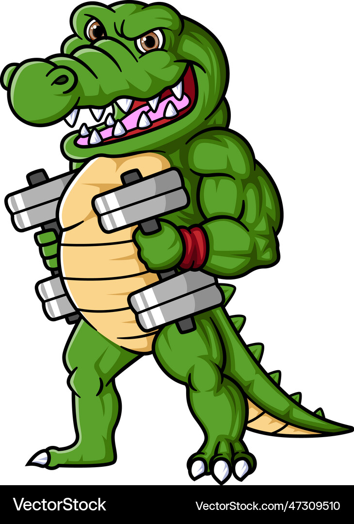 Strong crocodile lifting dumbbell cartoon Vector Image