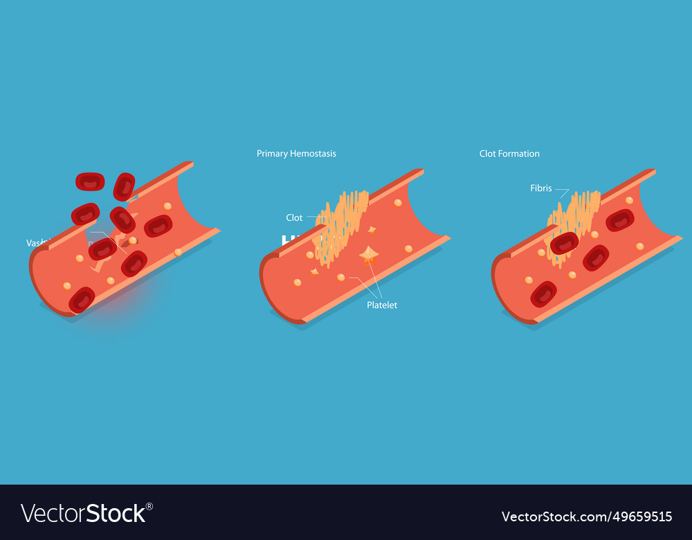 3d Isometric Flat Royalty Free Vector Image Vectorstock