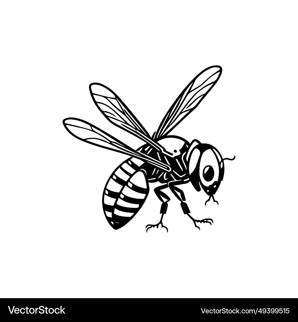 Wasp icon hand draw black colour flying animals Vector Image