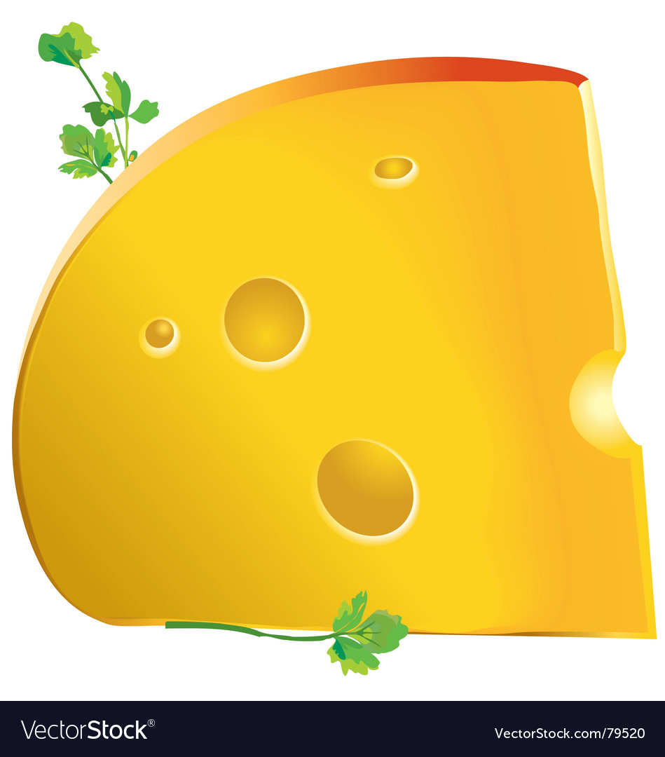 Cheese Royalty Free Vector Image - VectorStock