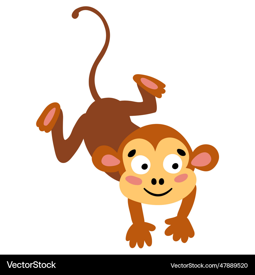 Cute hand drawn monkey animal safari Royalty Free Vector