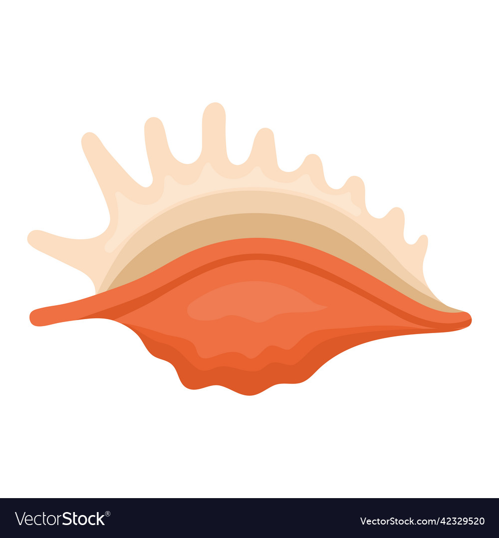 Cute seashell design Royalty Free Vector Image