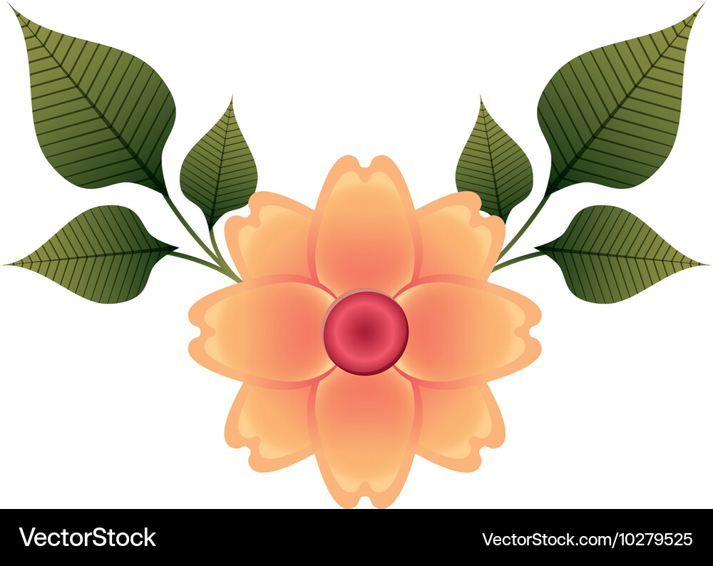 Flower floral nature icon Royalty Free Vector Image