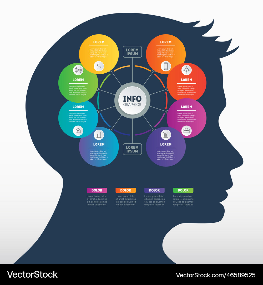 Infographic of technology or education process Vector Image