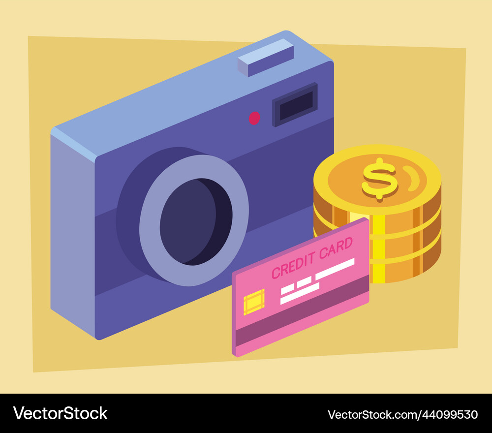 Camera with coins and credit card Royalty Free Vector Image