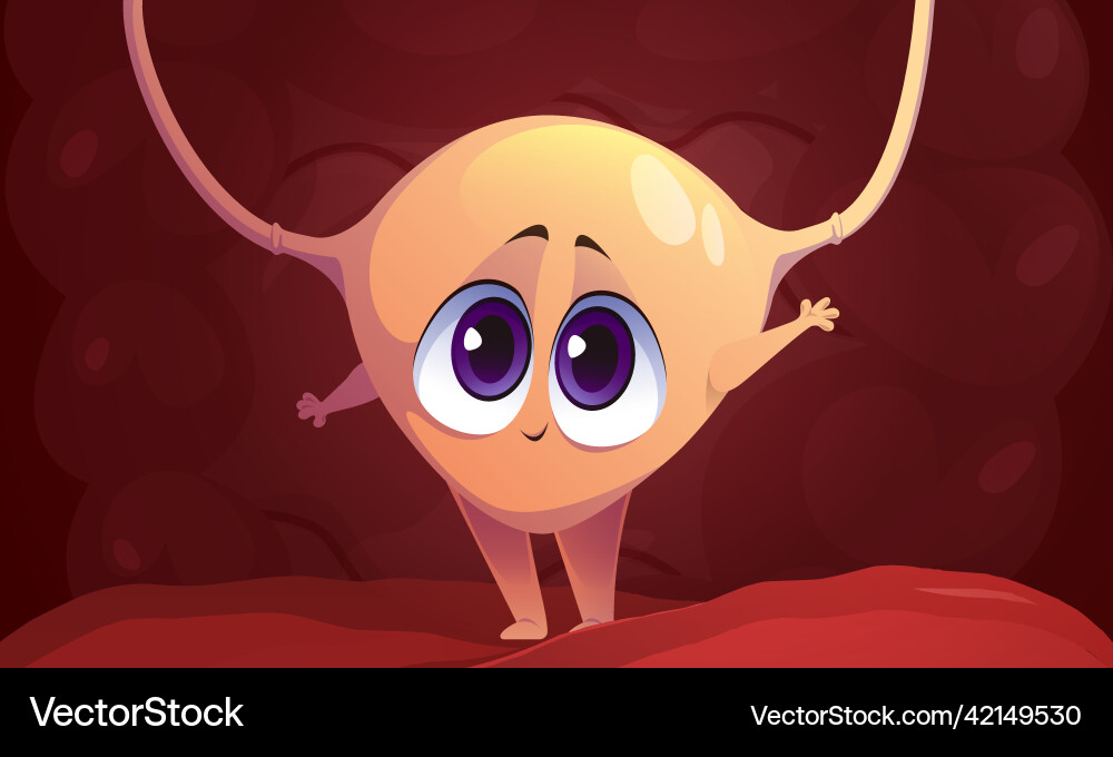 Human bladder cartoon character internal organ Vector Image