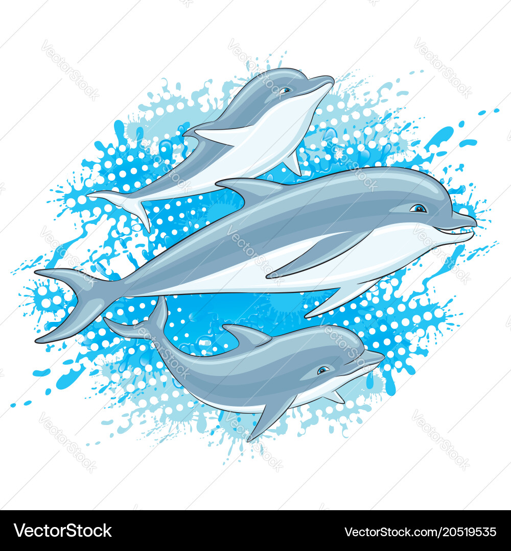 Dolphins and water splash Royalty Free Vector Image