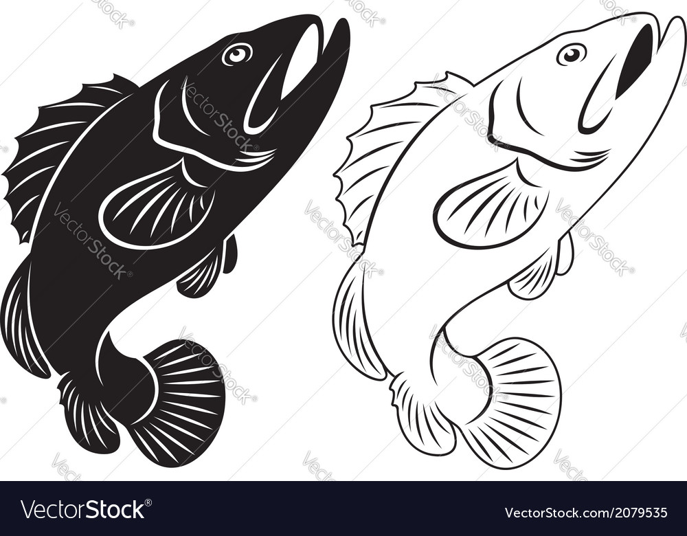 Grouper Royalty Free Vector Image - VectorStock