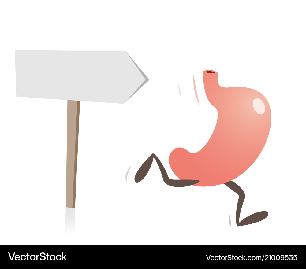 Stomach running and direction sign Royalty Free Vector Image