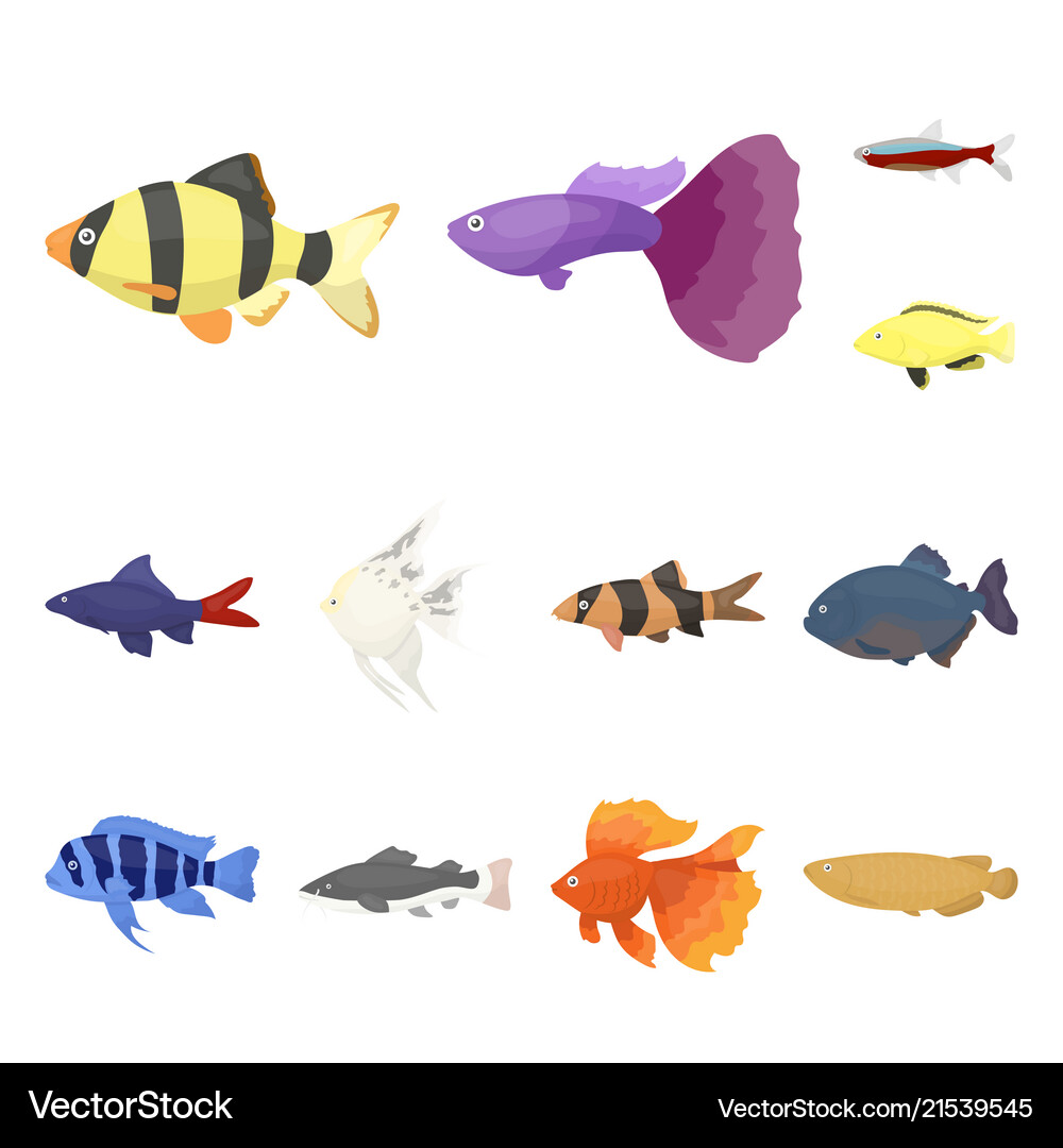 Different types fish cartoon icons in set Vector Image
