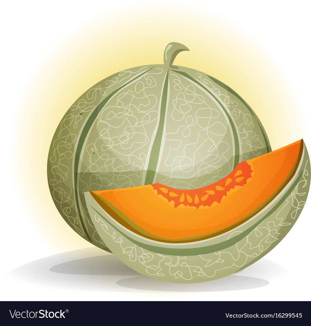 Melon Royalty Free Vector Image - VectorStock