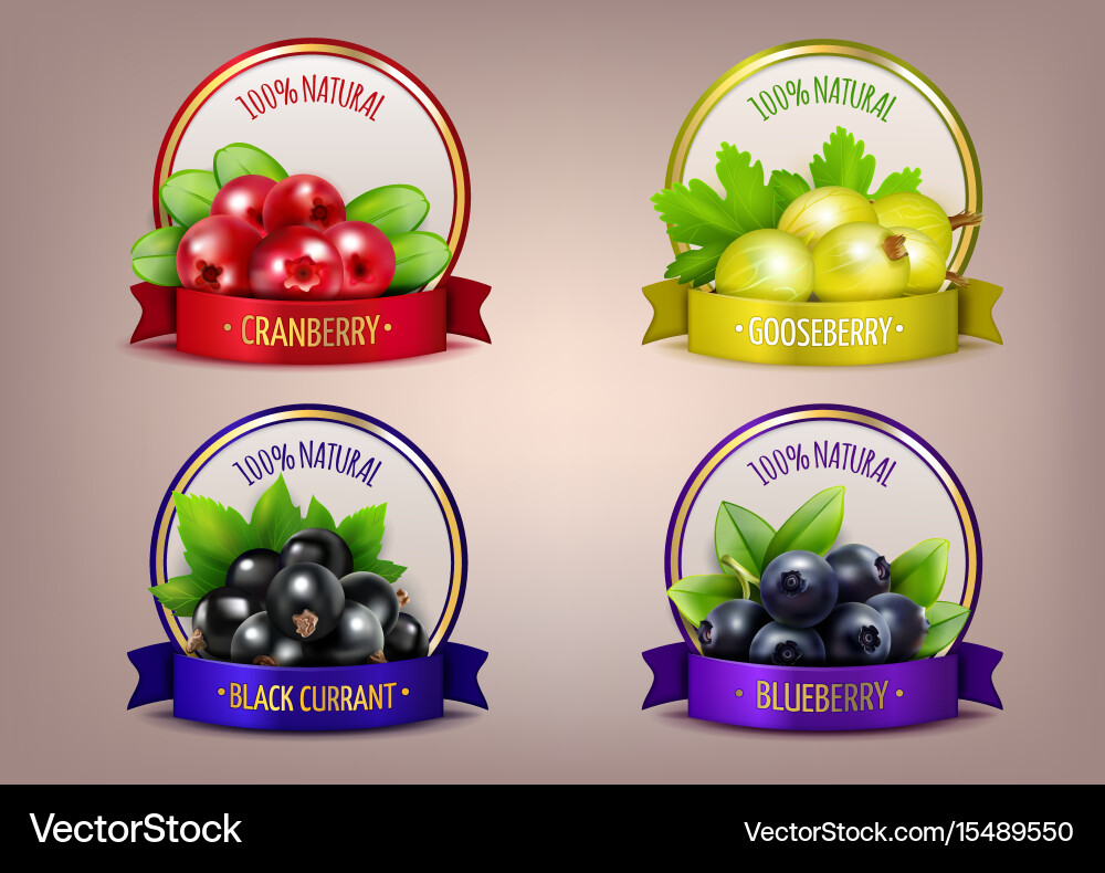 Berry labels realistic eco collection Royalty Free Vector