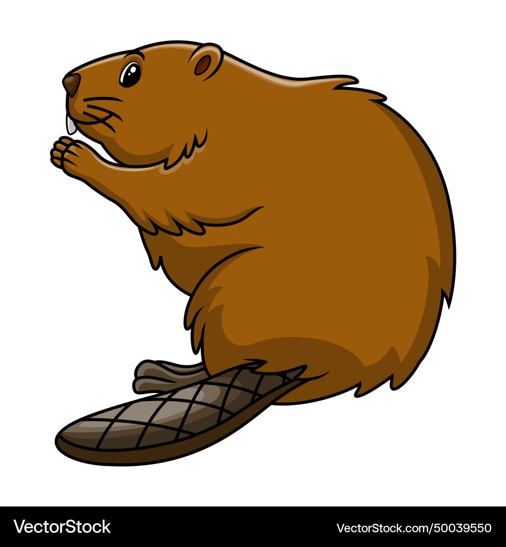 Cartoon funny beaver pose sitting Royalty Free Vector Image